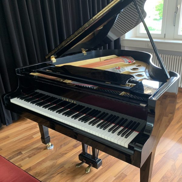 Musikunterricht in Klassik und Pop - TYTH-Musikschule